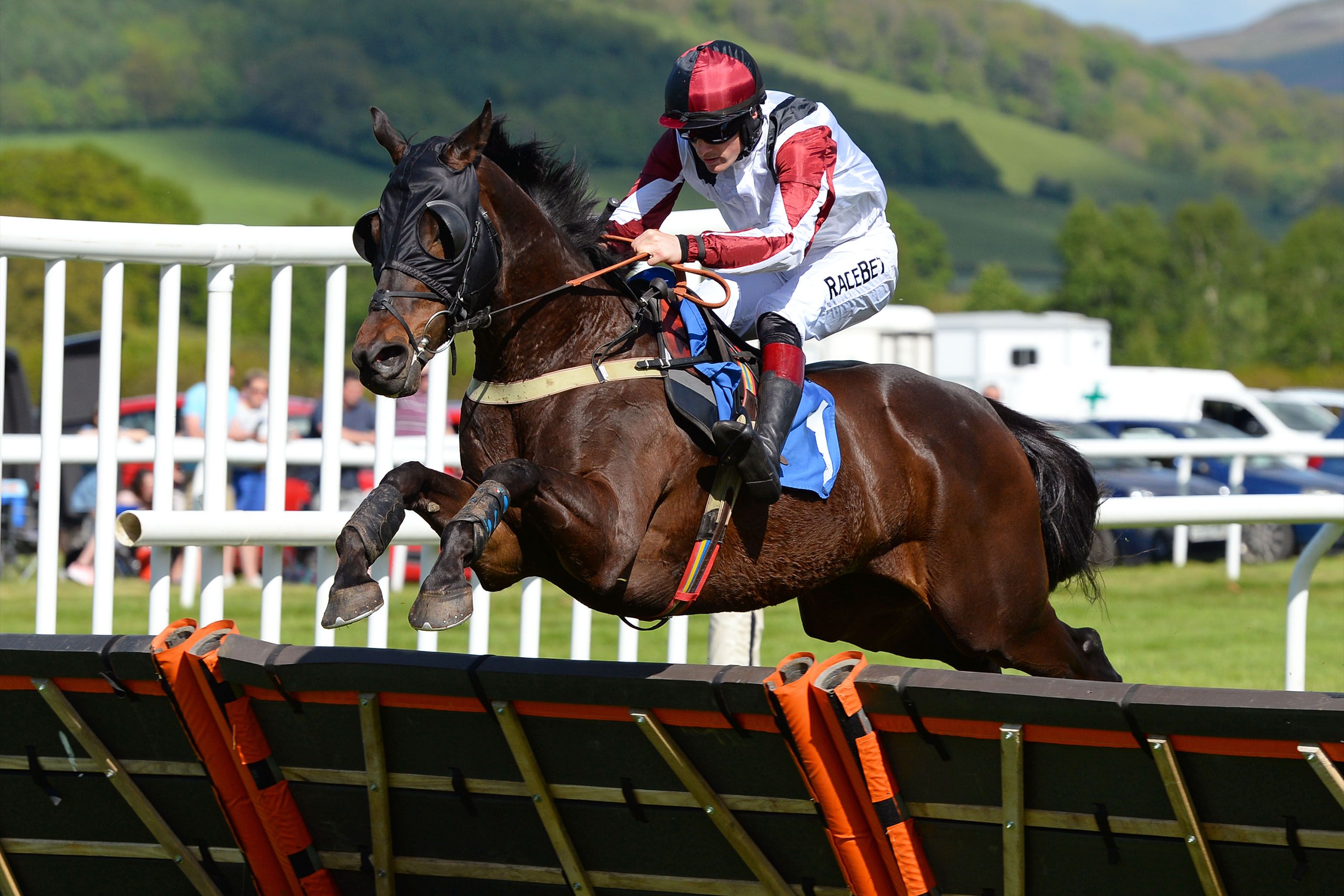 Horse Racing Syndicates | Horse Racing Syndicates | Racehorse ...